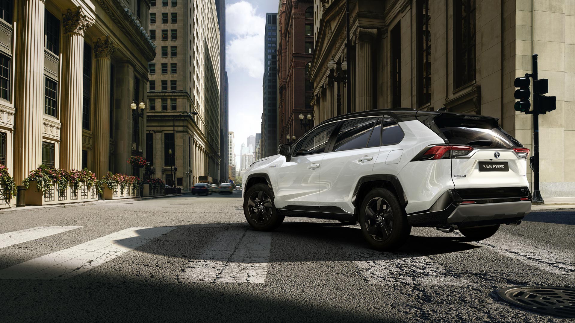 Toyota RAV4 | Toyota Ireland